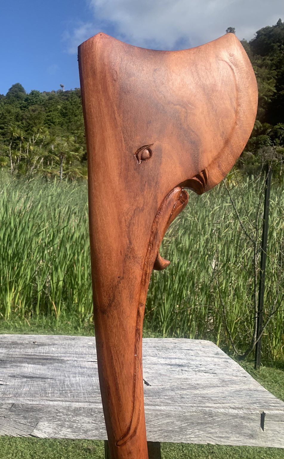 Tewhatewha Ariwhana – TOI MAAKA