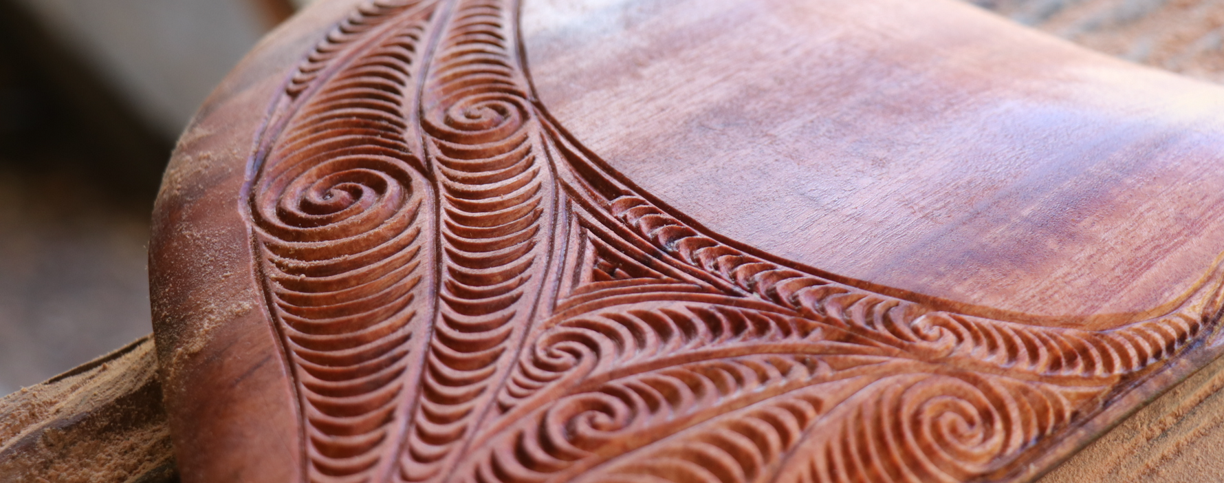 Toi Maaka – TOI MAAKA